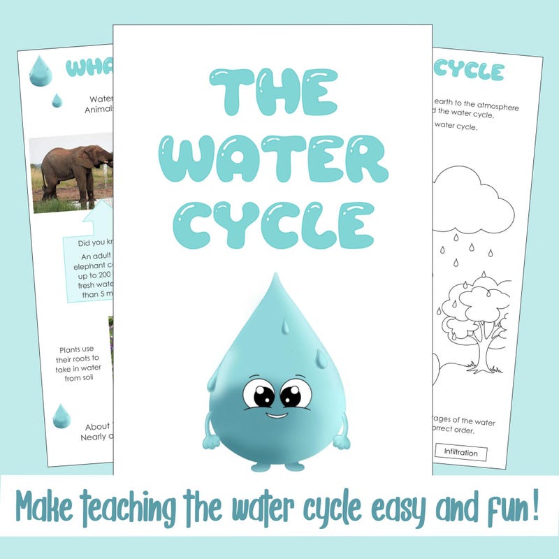 Water Cycle Project - Etsy