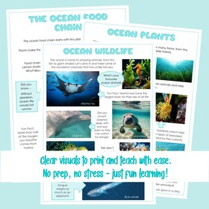 Ocean Learning Workbook: Marine Life, Food Chain, Crafts (digital ...