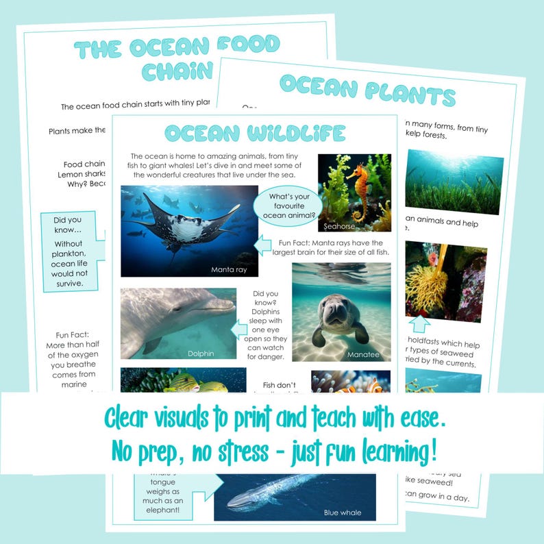 Ocean Learning Workbook: Marine Life, Food Chain, Crafts (digital ...
