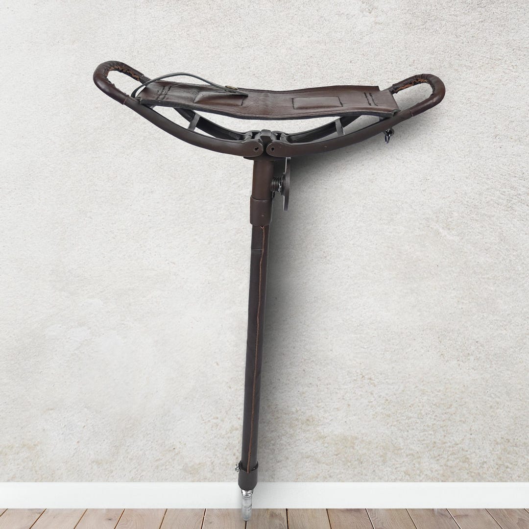Adjustable Walking Stick With Seat Hunting Stick Shooting Stool Folding ...