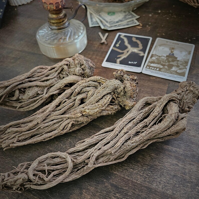 Master Root - Etsy