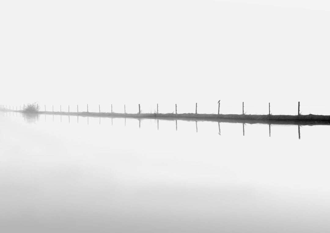 River in Flood: Stunning Greyscale Fine Art Poster - Tranquil and ...