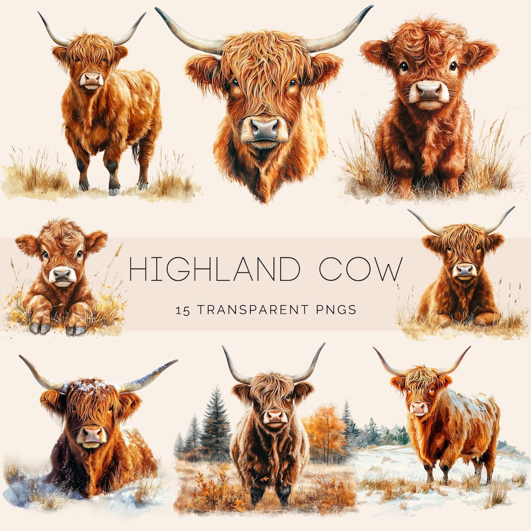 Watercolor Highland Cow Clipart Bundle, 15 PNG Cute Animals Graphics ...
