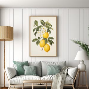 Retro Lemon Art Print Botanical Vintage Fruit Wall Art Citrus Kitchen ...