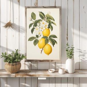 Retro Lemon Art Print Botanical Vintage Fruit Wall Art Citrus Kitchen ...