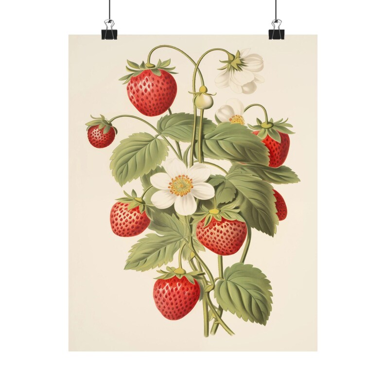 Retro Strawberry Poster, Floral Strawberry Wall Art, Fruit Artwork ...