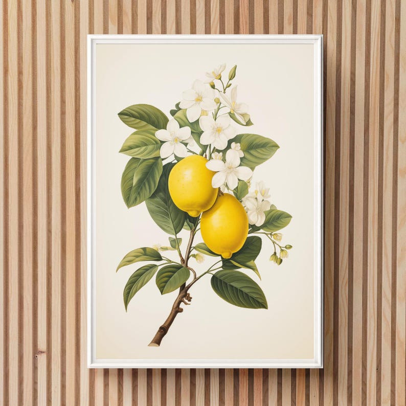 Lemon Print: Vintage Style Lemon Tree Wall Art, Mediterranean Fruit ...