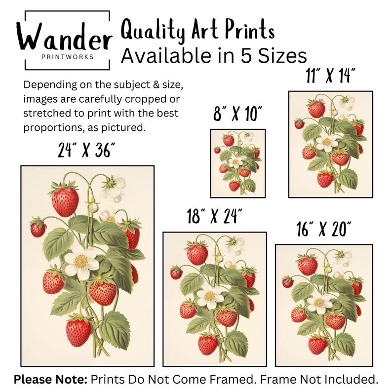 Retro Strawberry Poster, Floral Strawberry Wall Art, Fruit Artwork ...