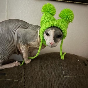 Hats for Cats , Hat for Cat , Sphynx Cat Hats , Knitted Hats for Sphynx ...
