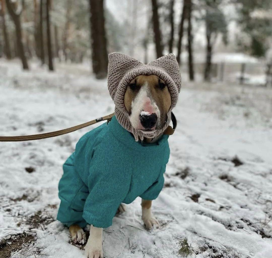 Hats for Big Dogs, Hats for Big Breeds, Knitted Hat for Dog, Hat for ...