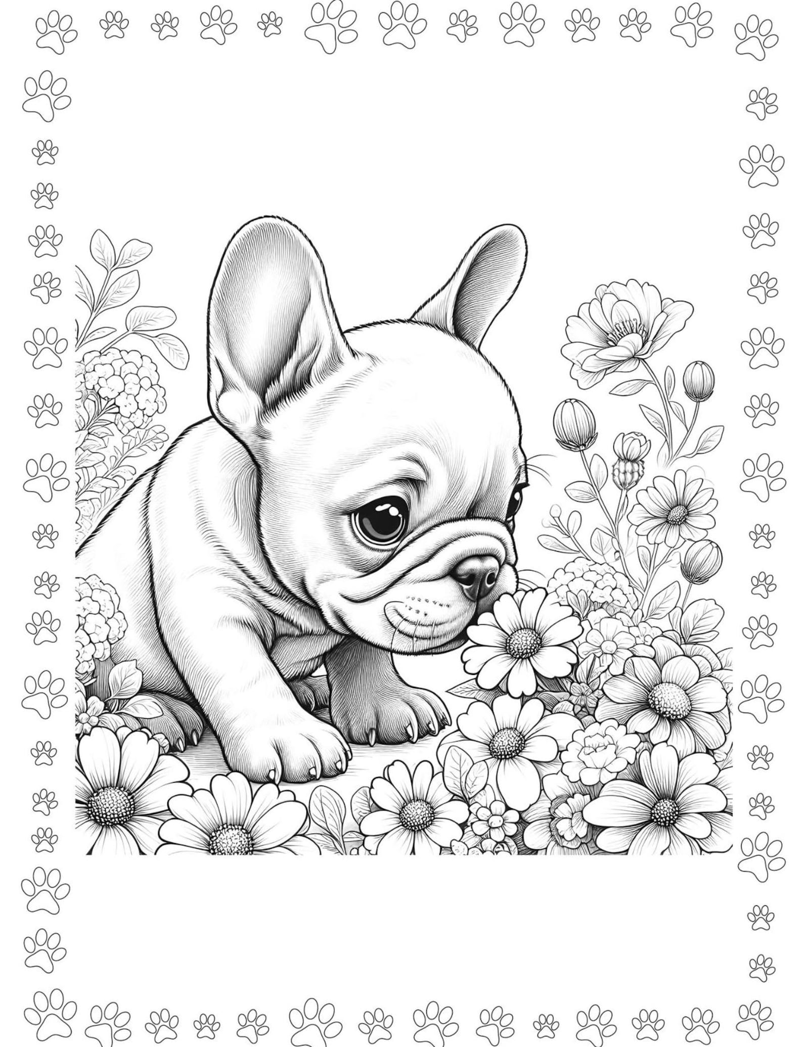 10 Printable French Bulldog Puppy Coloring Pages - Etsy