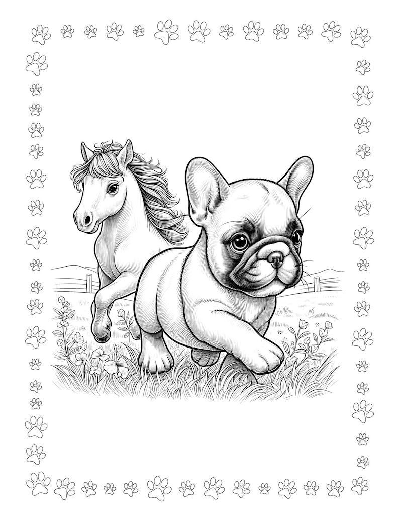 30 Printable French Bulldog Coloring Page Bundle - Printable Farm ...