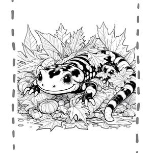 70-page Digital Bundle: Adorable Kittens & Fascinating Reptiles and ...