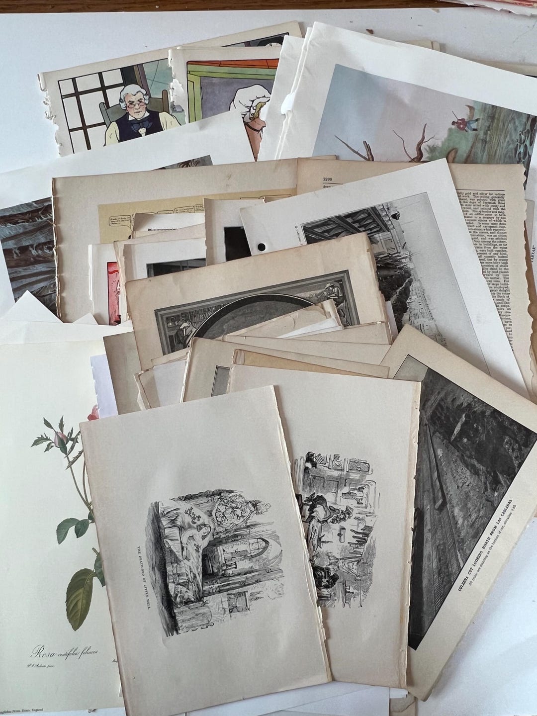 100 Antique Book Page Prints. 1800s-1900s Ephemera. Lithographs ...