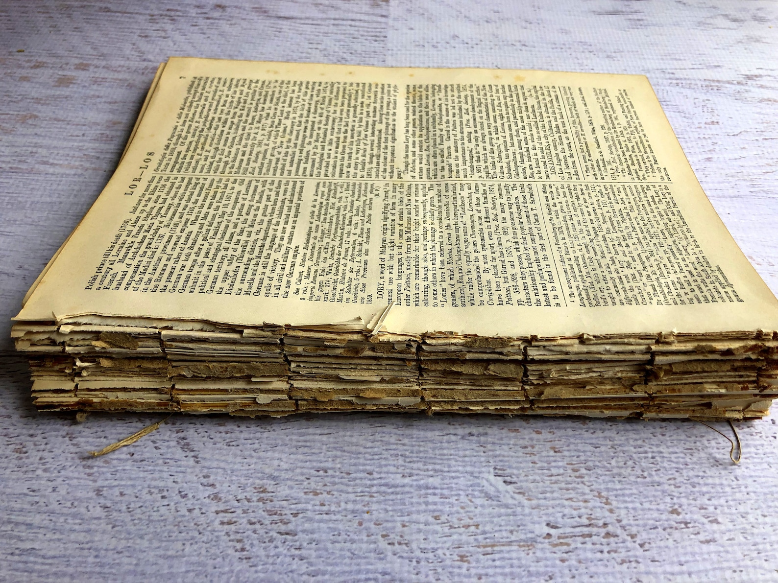 Vintage Book Page Bundle. 100 Old Book Pages. Beautiful - Etsy