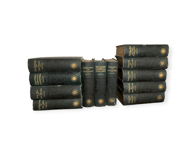 1880s the Waverly Novels by Sir Walter Scott Collection of 12 Antique ...