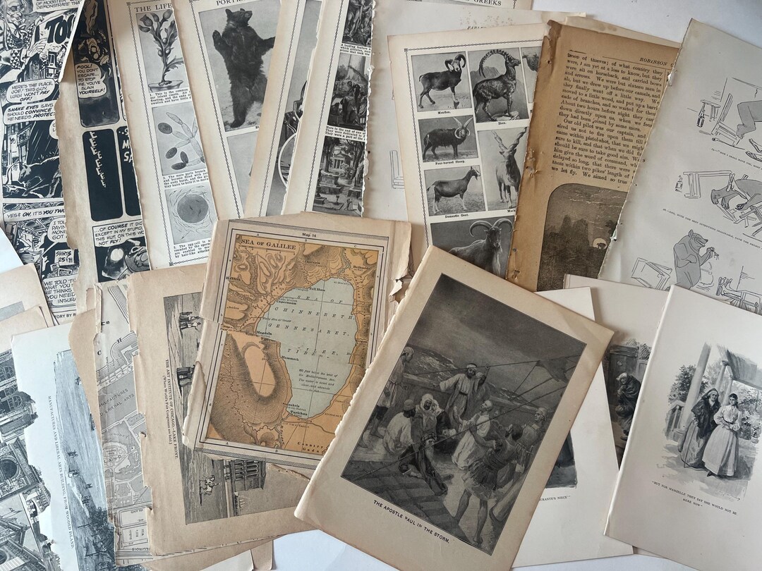 100 Antique Book Page Prints. 1800s-1900s Ephemera. Lithographs ...