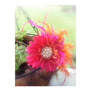Daisy Fascinator Head Piece Comb / Hair Clip. Fuchsia - Tangerine ...