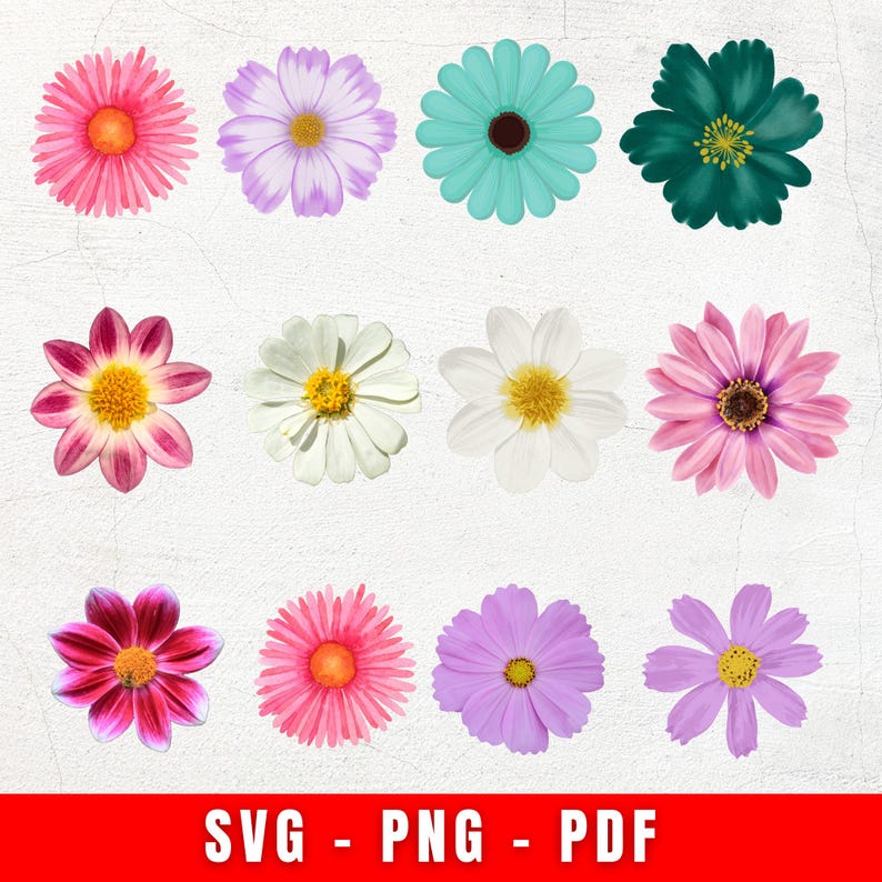 Colorful Flower Clipart Bundle | 50+ Floral SVG PNG PDF | Bright ...