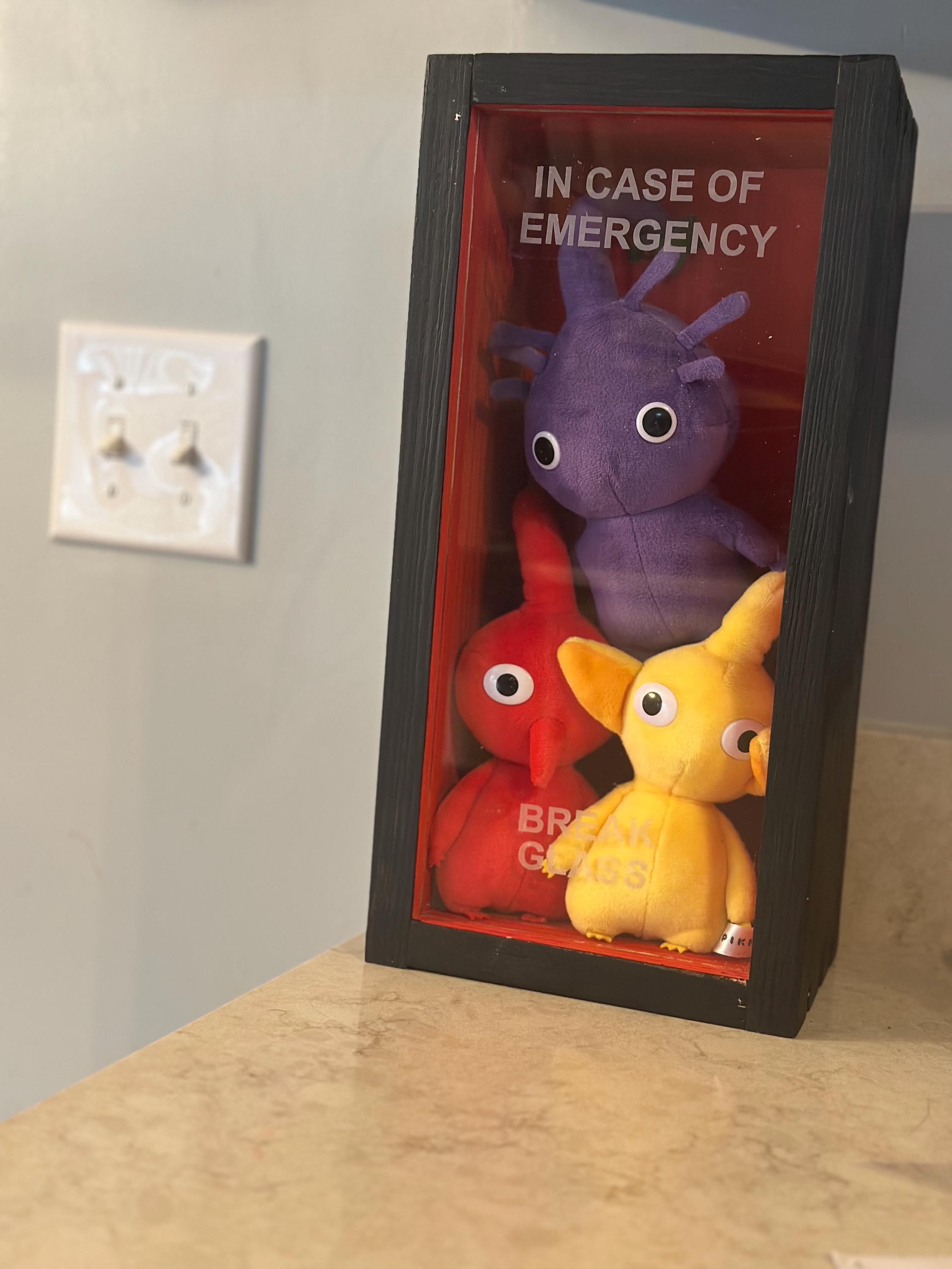 Large in Case of Emergency Box - Etsy
