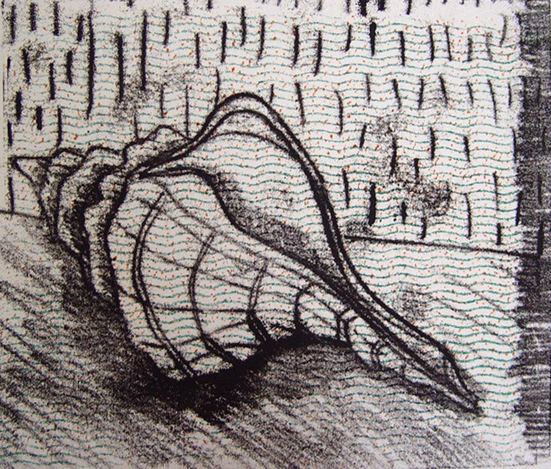 Seashell Monotype Print- Conch Shell- Original Matted Print- 11x 14 ...