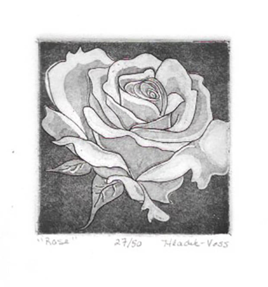 Rose Aquatint Etching-classic Art- Original Print-edition of 50-8 X 9 ...