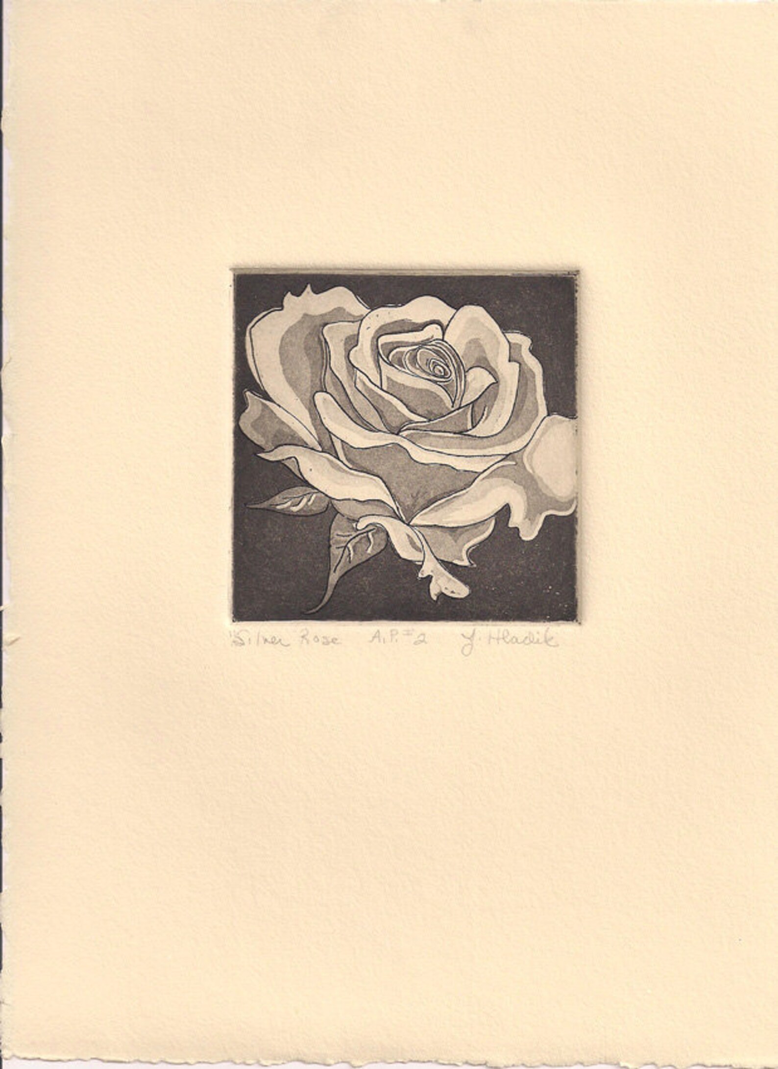 Wedding Day- Rose Aquatint Etching- Victorian Romantic Botanical ...