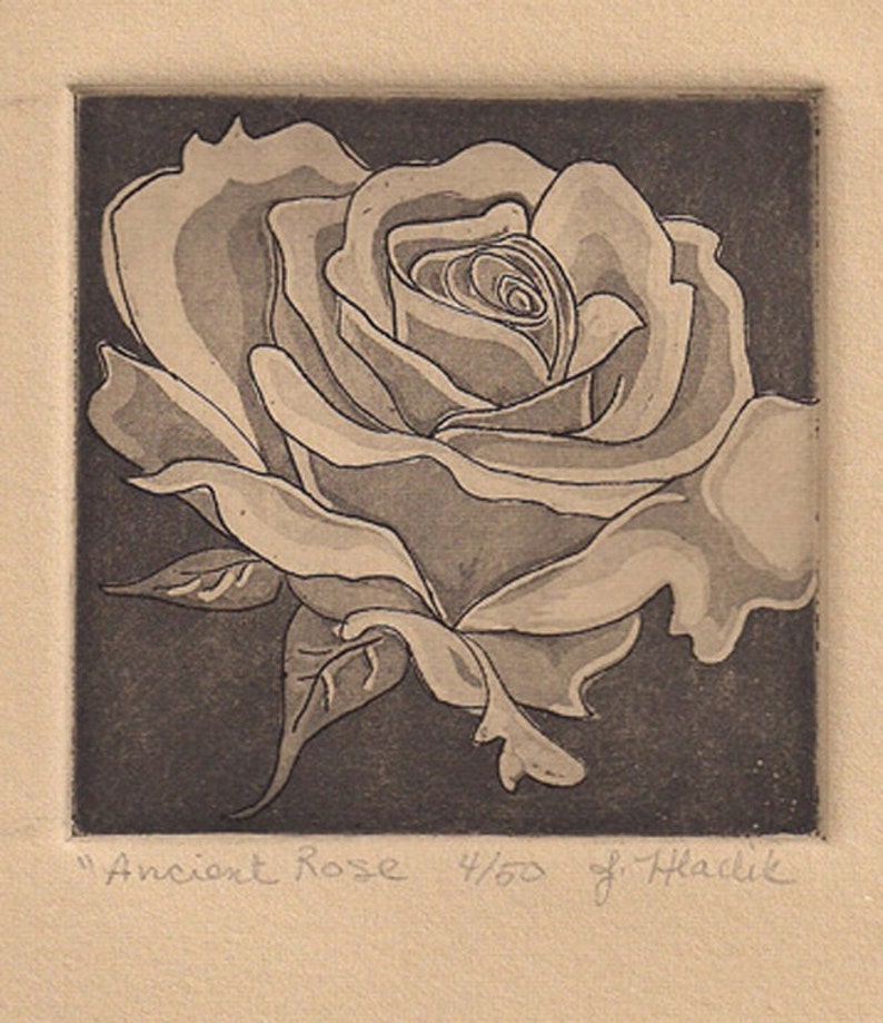 Rose Aquatint Etching- Renaissance Classic Art- 4 of 50- 7 X 9 Inch 18 ...
