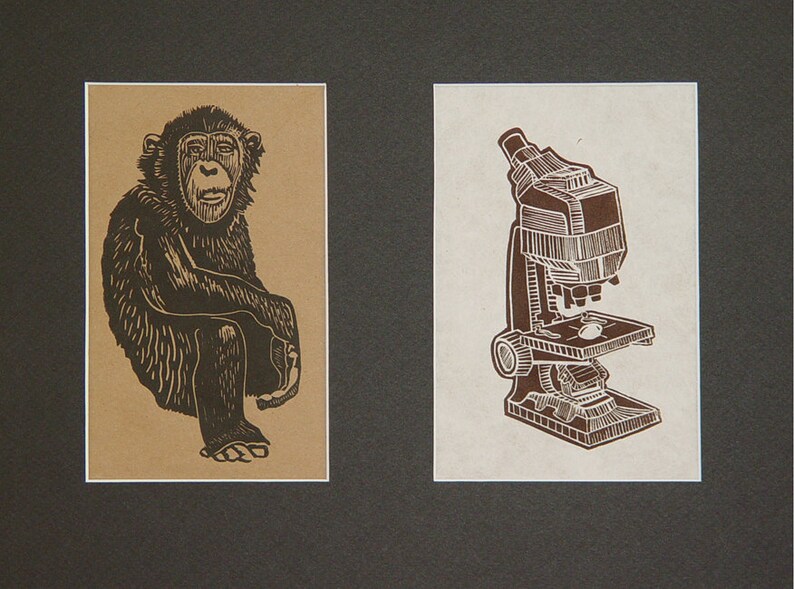 Geekery Linocut Monkey Microscope Fun With Science Matted 12 X 16 - Etsy