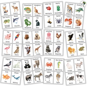 60 Spanish Animals Flashcards | English Spanish Printable | Watercolor ...