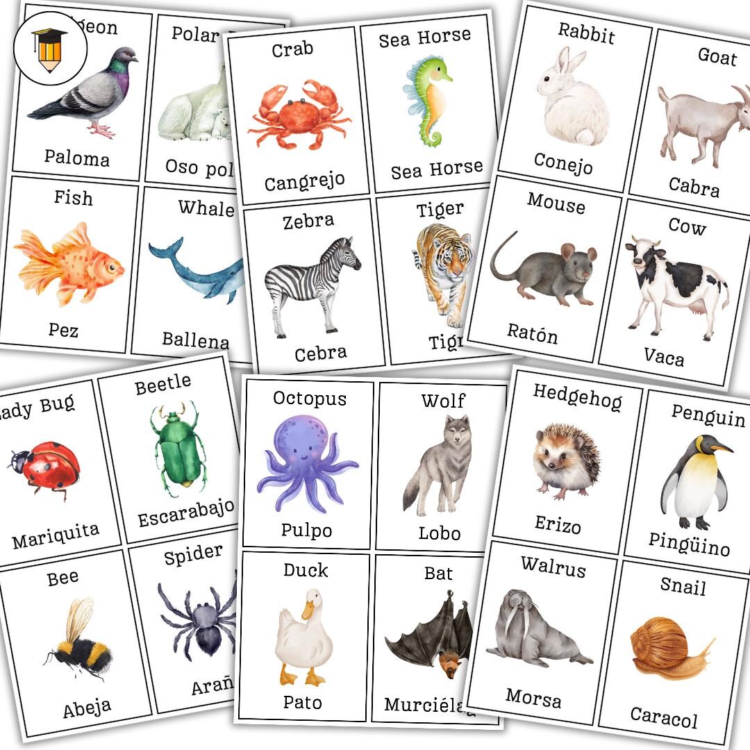 60 Spanish Animals Flashcards | English Spanish Printable | Watercolor ...