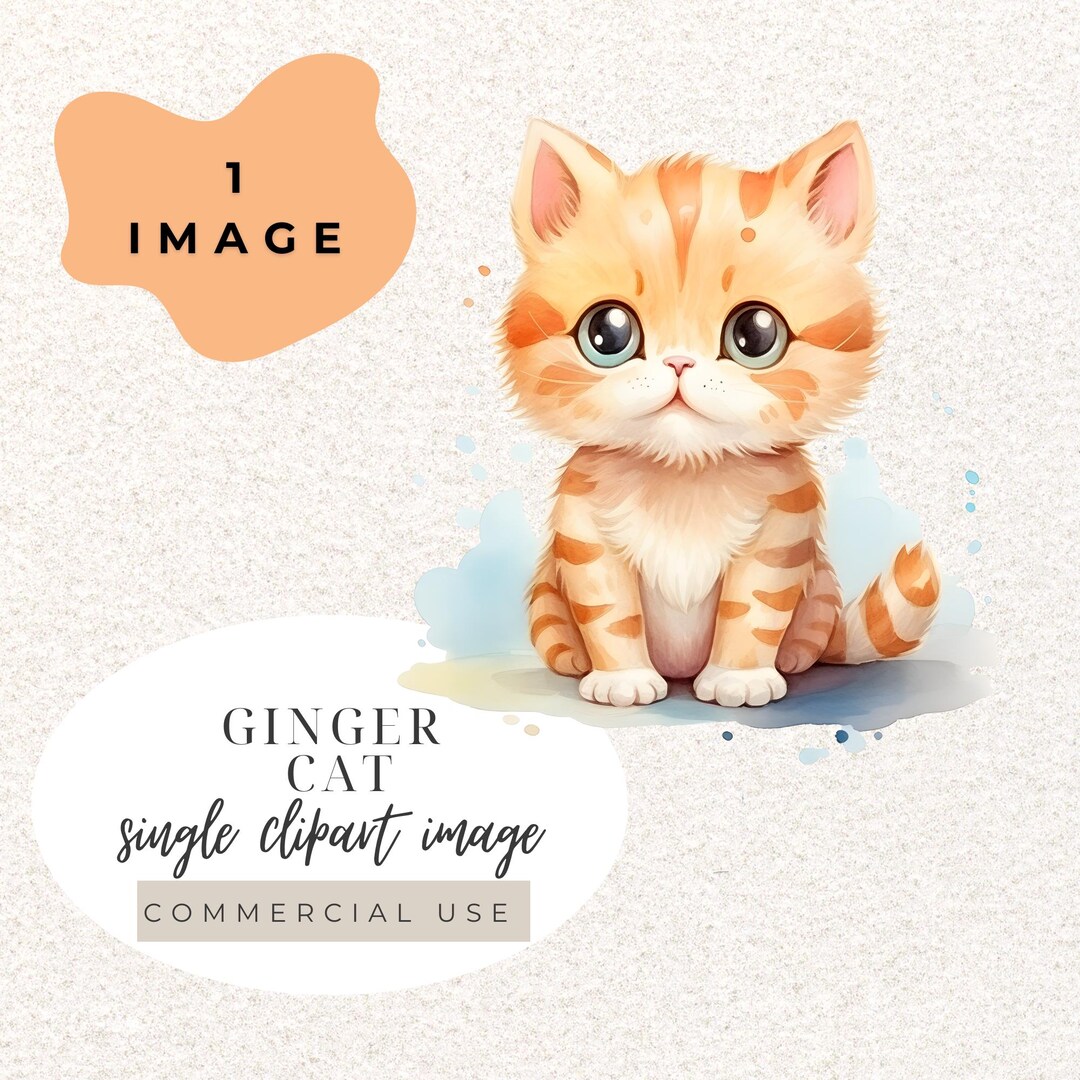 Cute Ginger Cat Clipart L Commercial Use L Ginger Cat PNG L Kitten L ...