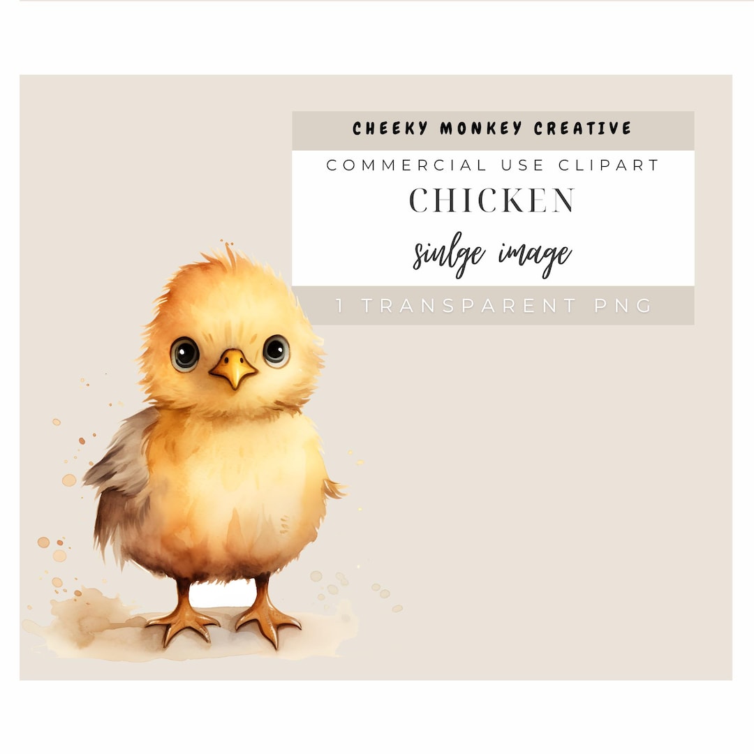 Cute Chicken Clipart, Commercial License, Watercolor Chicken, Chick ...