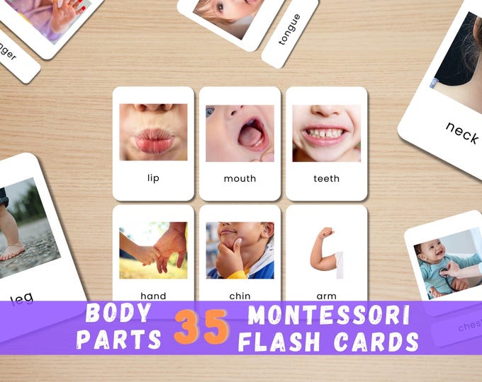 Parts of the Body Flash Cards Instant Download Kids Learning Human ...