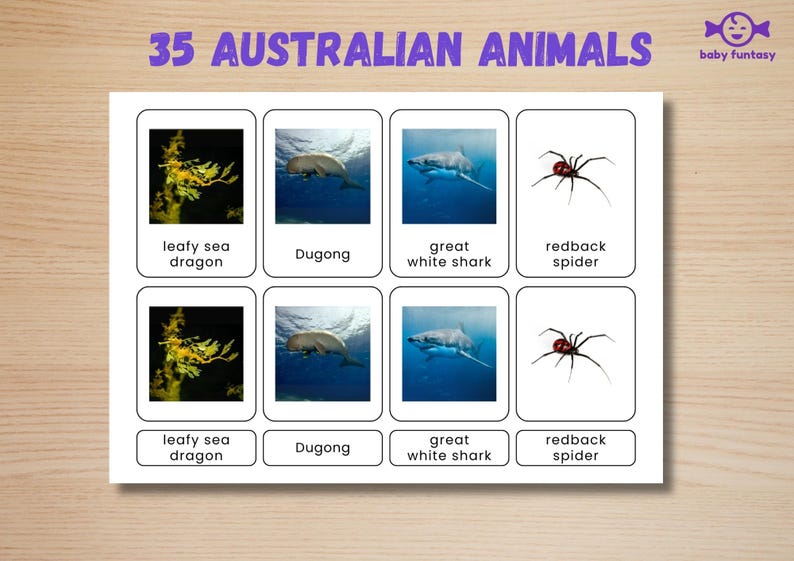 35 Australian Animal Flashcards | Real Photo Montessori Cards | Native ...