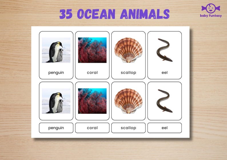 35 Ocean Animal Flashcards: Real Photo Montessori Cards (printable ...