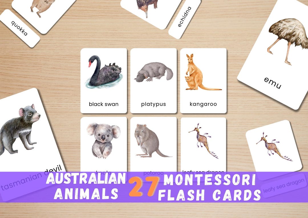 27 Australian Animal Flashcards | Watercolor Montessori Cards | Native ...