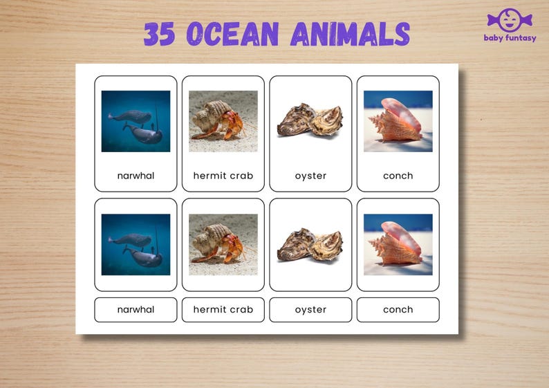35 Ocean Animal Flashcards: Real Photo Montessori Cards (printable ...