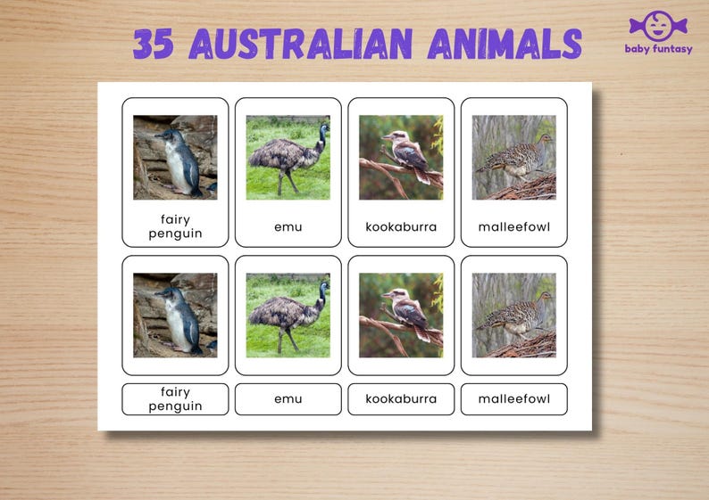 35 Australian Animal Flashcards | Real Photo Montessori Cards | Native ...