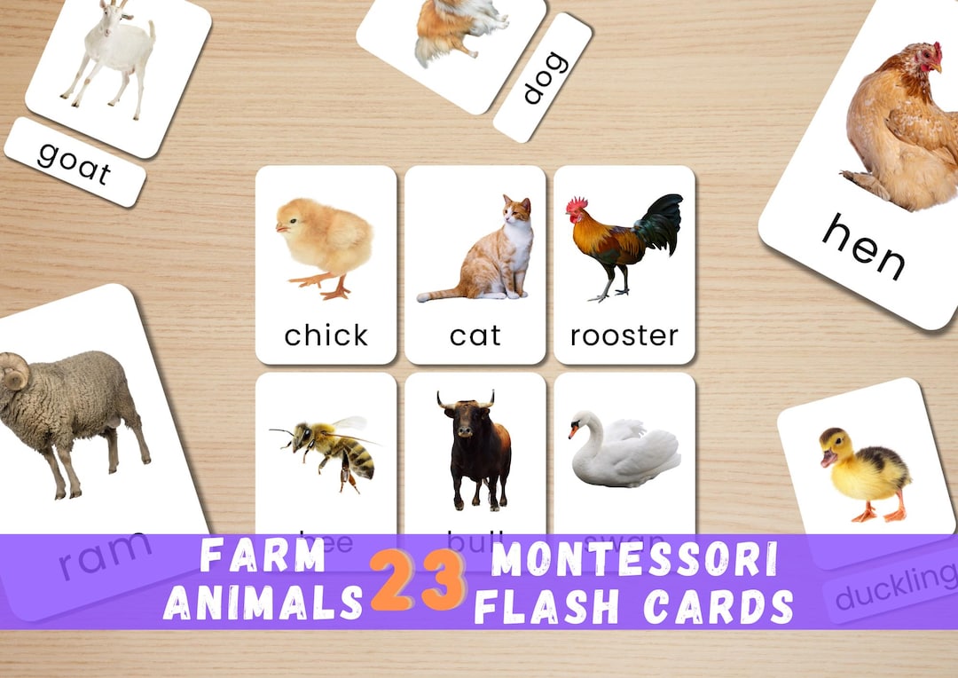 23 Farm Animals Flash Cards Montessori Flash Cards Preschool Cards ...