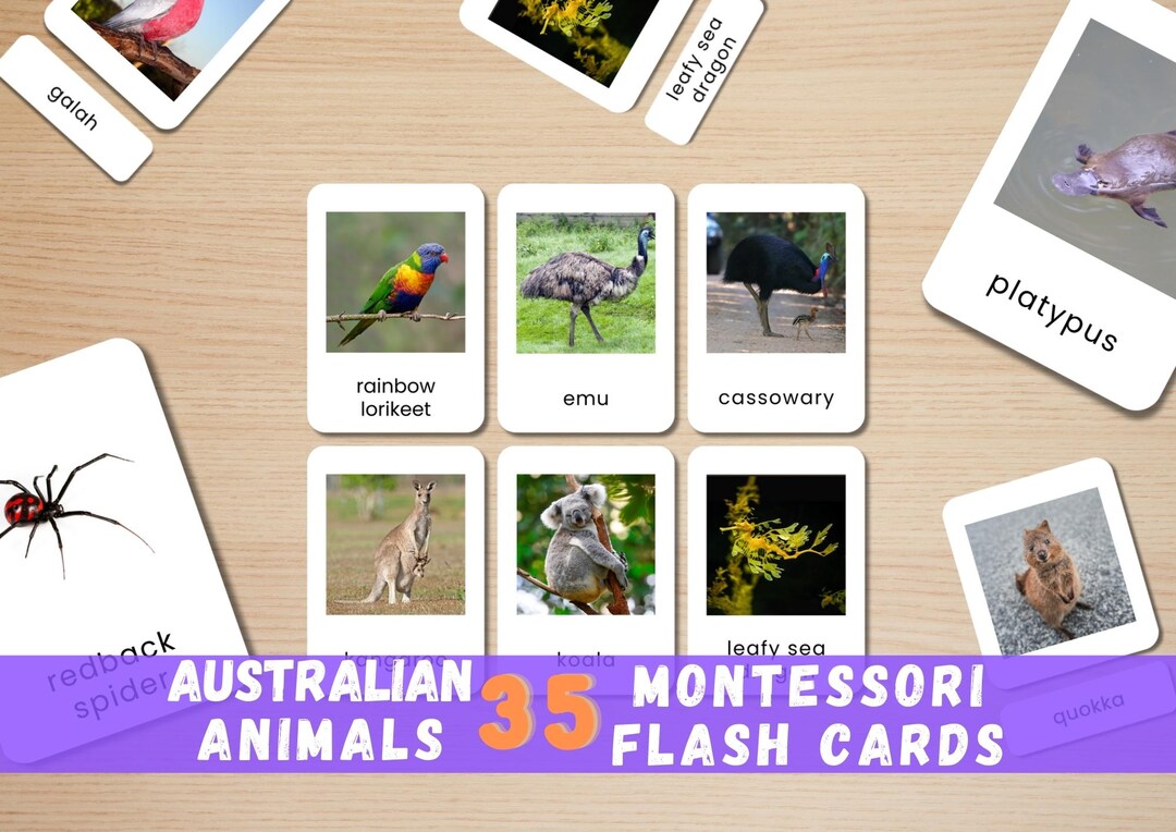 35 Australian Animal Flashcards | Real Photo Montessori Cards | Native ...