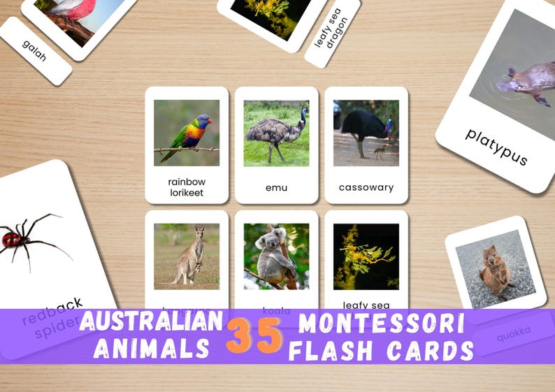 35 Australian Animal Flashcards | Real Photo Montessori Cards | Native ...