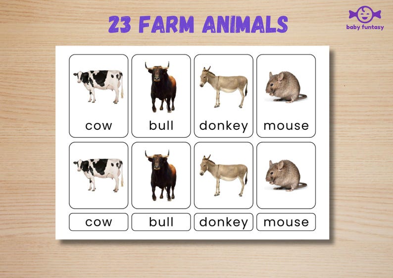 Farm Animals Flash Cards: Montessori Preschool Printable (instant ...