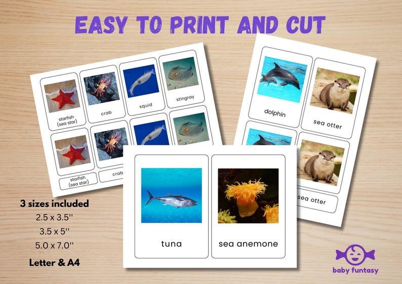 35 Ocean Animal Flashcards: Real Photo Montessori Cards (printable ...