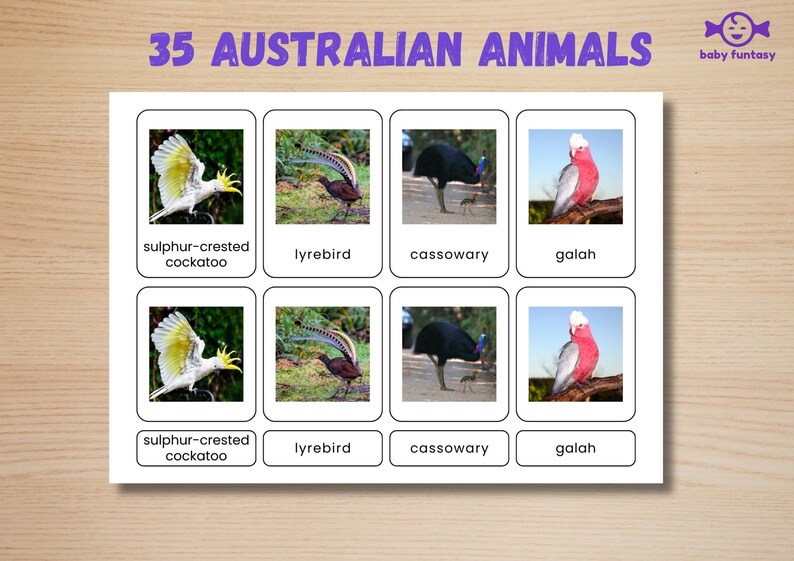 35 Australian Animal Flashcards | Real Photo Montessori Cards | Native ...
