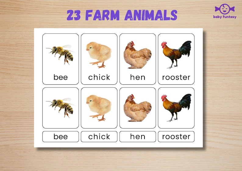 Farm Animals Flash Cards: Montessori Preschool Printable (instant ...