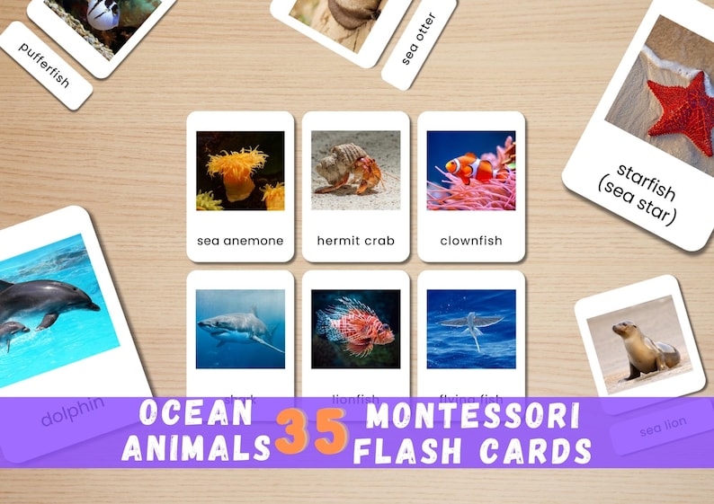 35 Ocean Animal Flashcards: Real Photo Montessori Cards (printable ...