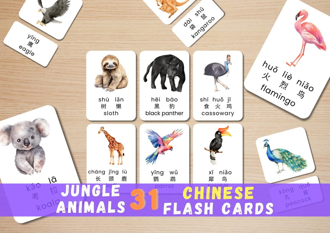 31 Jungle Animal Chinese Flashcard Montessori 3-part Cards, Bilingual ...