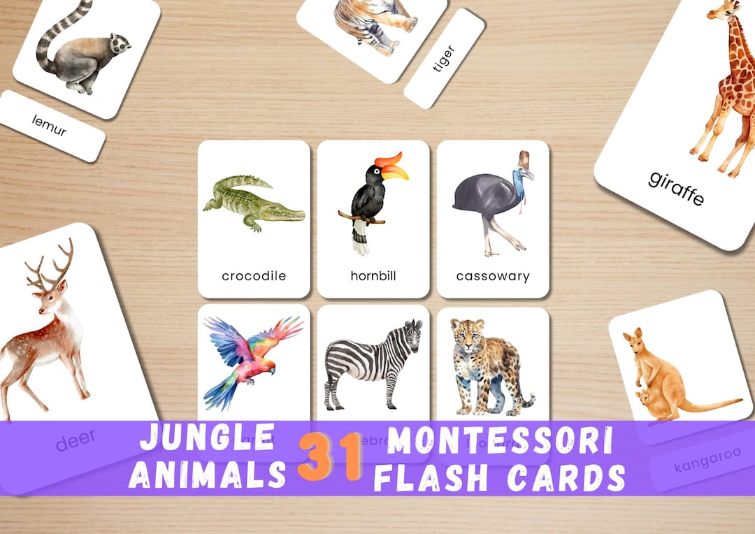 Jungle Animal Flashcards: Montessori Watercolor Art (digital Download ...