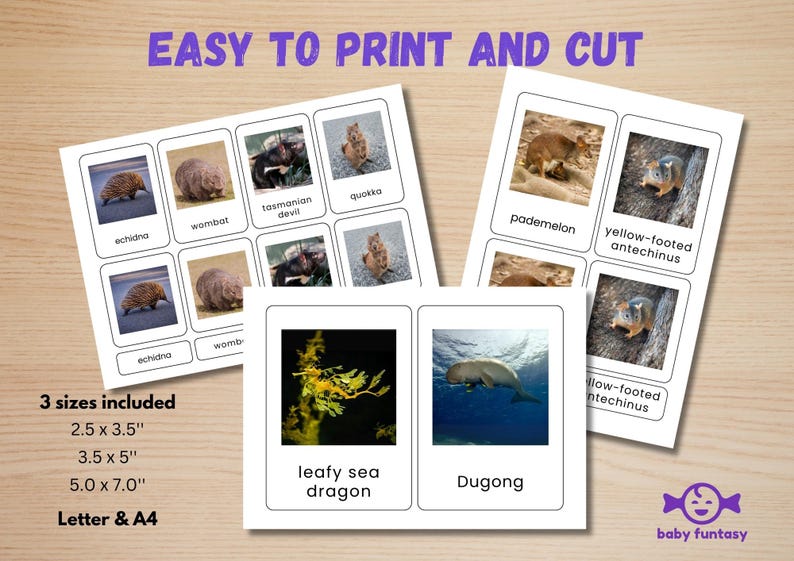 35 Australian Animal Flashcards | Real Photo Montessori Cards | Native ...